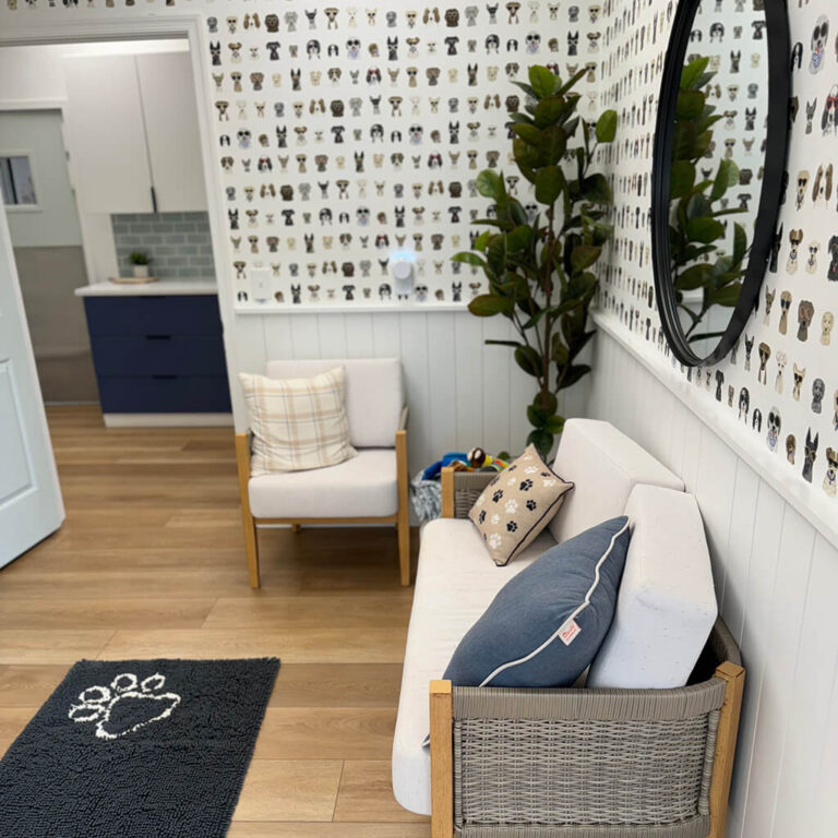 Adopt a pet - Adoption Center - Reba's Animal Rescue.